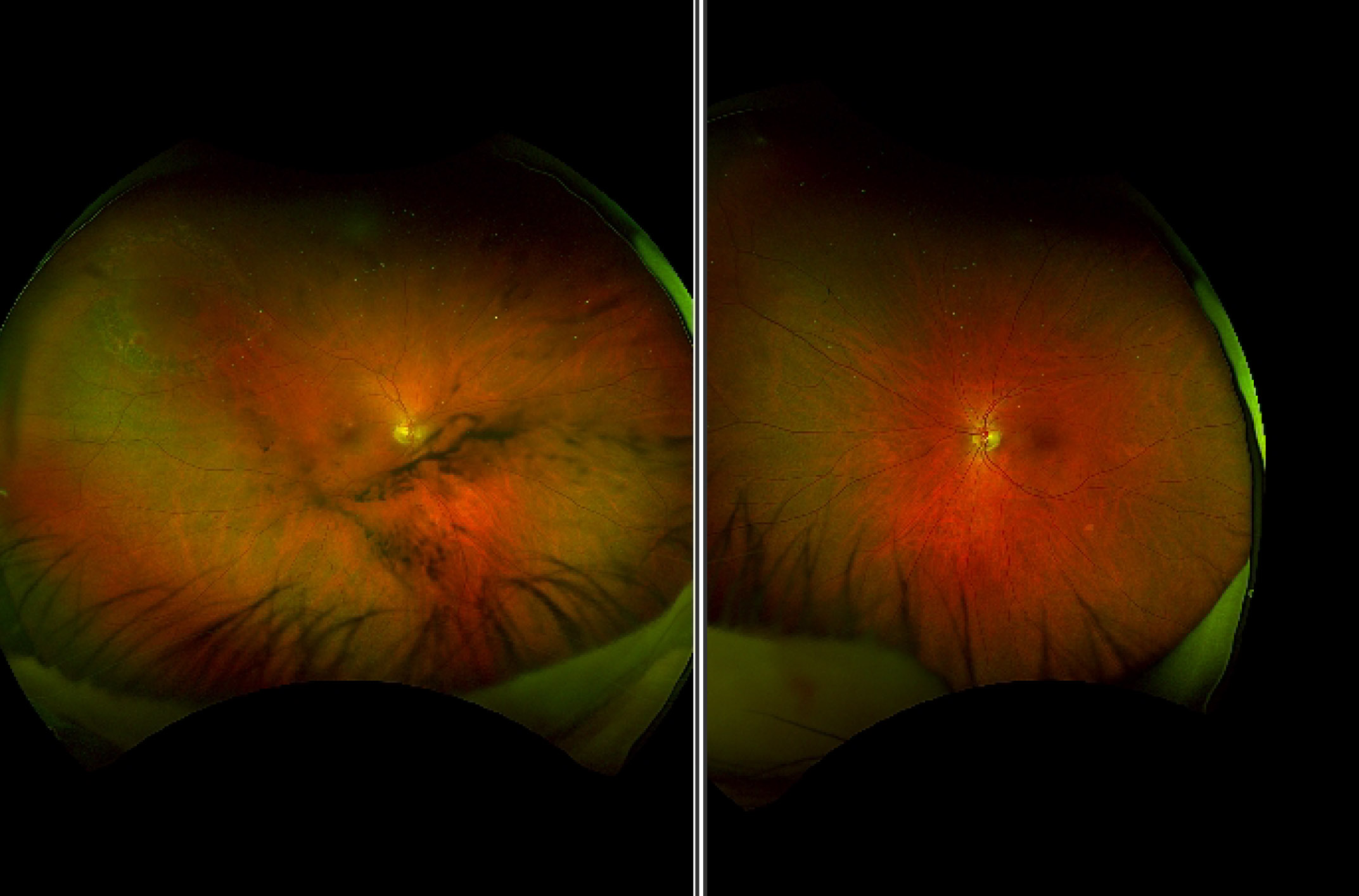 Homeschool Speech and Debate Education - Monument Stoa & NCFCA Resources